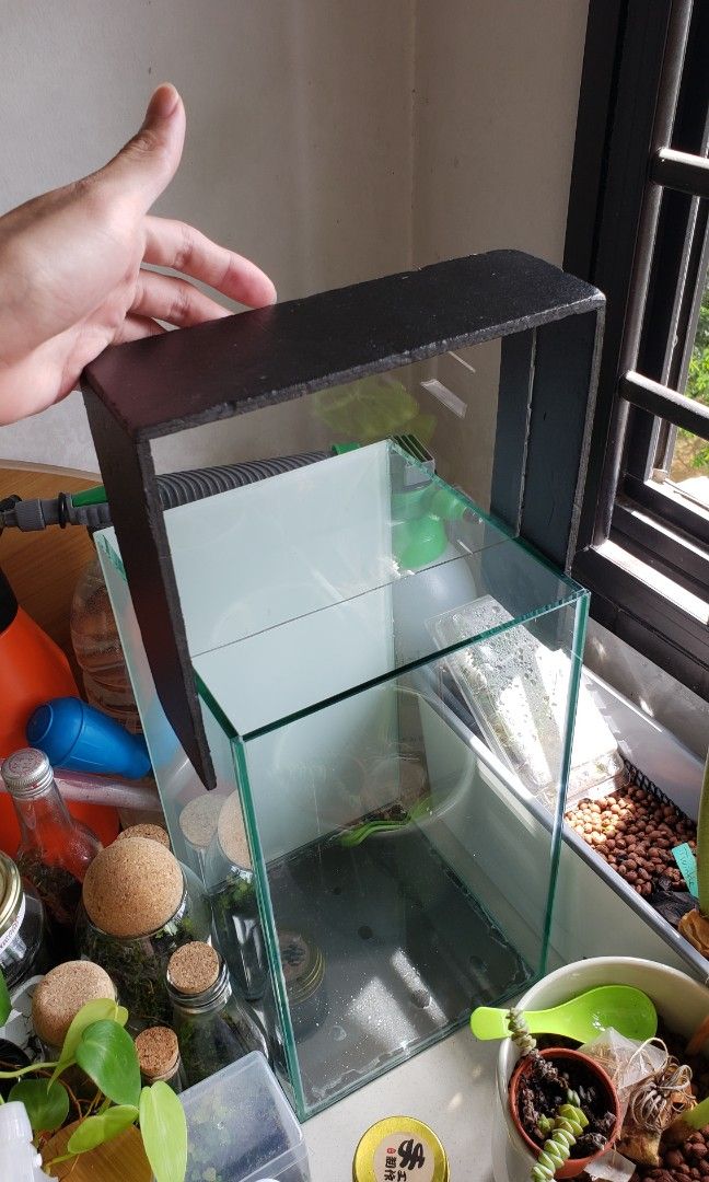 GEX 20cm x 20cm x 35cm aquarium tank, Pet Supplies, Homes & Other Pet Accessories on Carousell