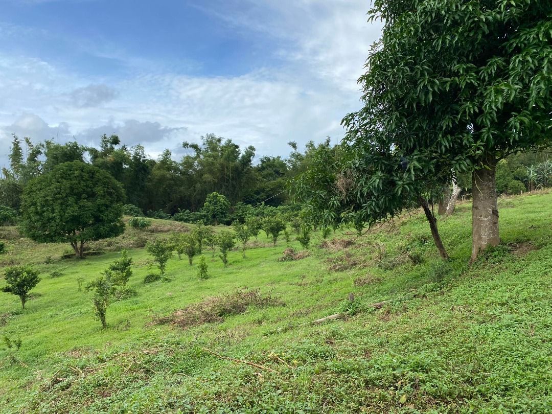 Installment Residential farm lot silang cavite 7 mins aguinaldo hiway, Property, For Sale, Lot ...