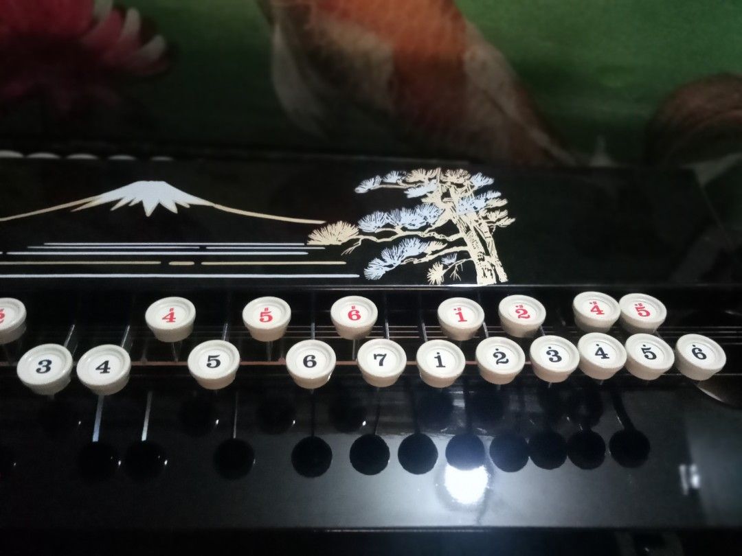 JAPANESE TAISHOGOTO on Carousell