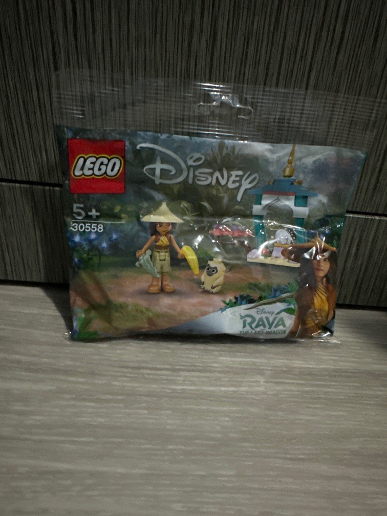 LEGO Raya (30558), Hobbies & Toys, Toys & Games on Carousell