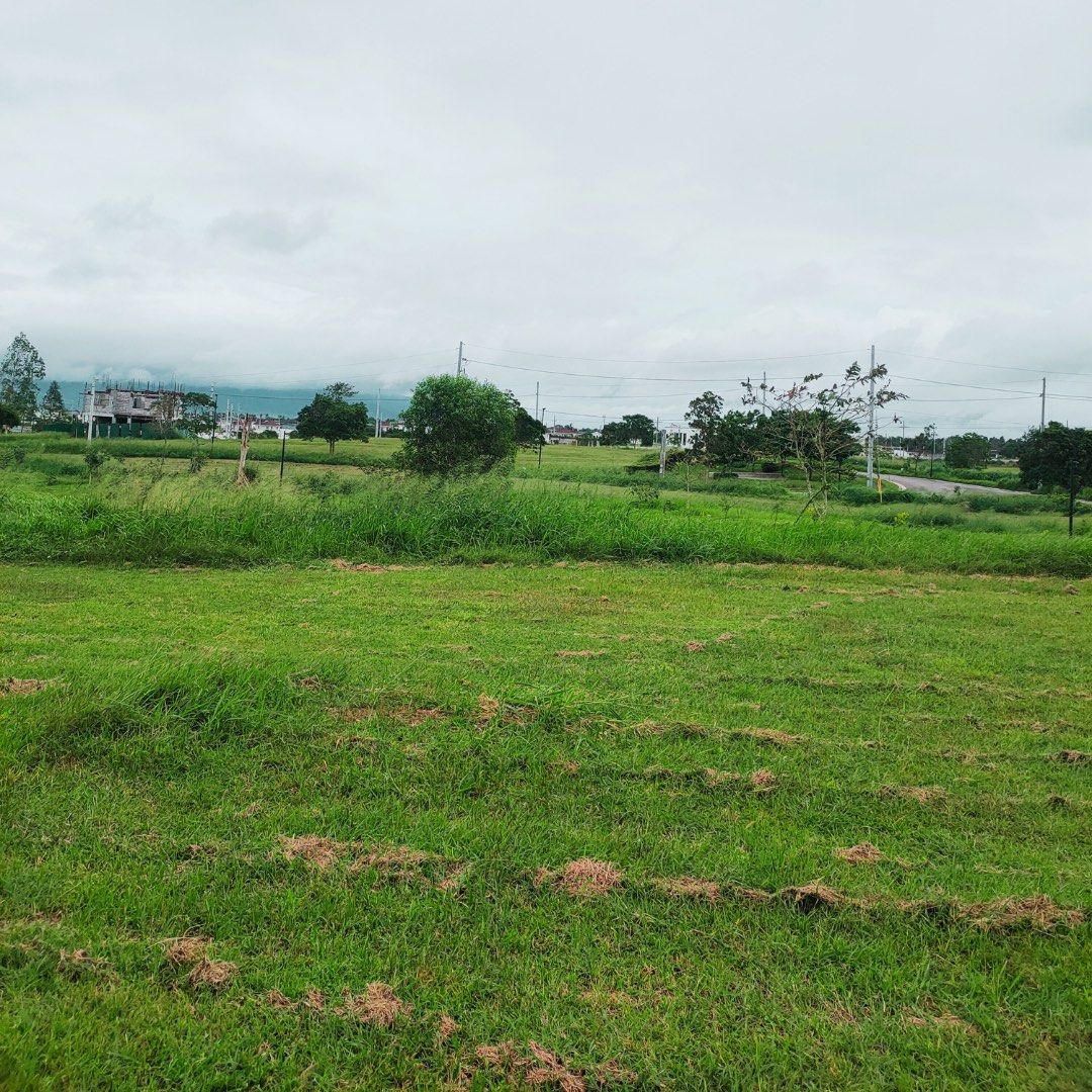 Lumira Single Loaded Lot on Carousell