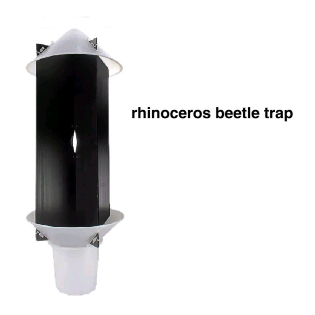 RHINOCEROS BEETLE TRAP RB TRAP, Health & Nutrition, Insect Repellent on ...