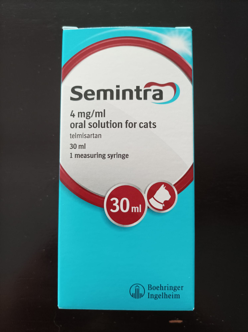 Semintra Oral Liquid Solution For Cats, Pet Supplies, Health & Grooming ...