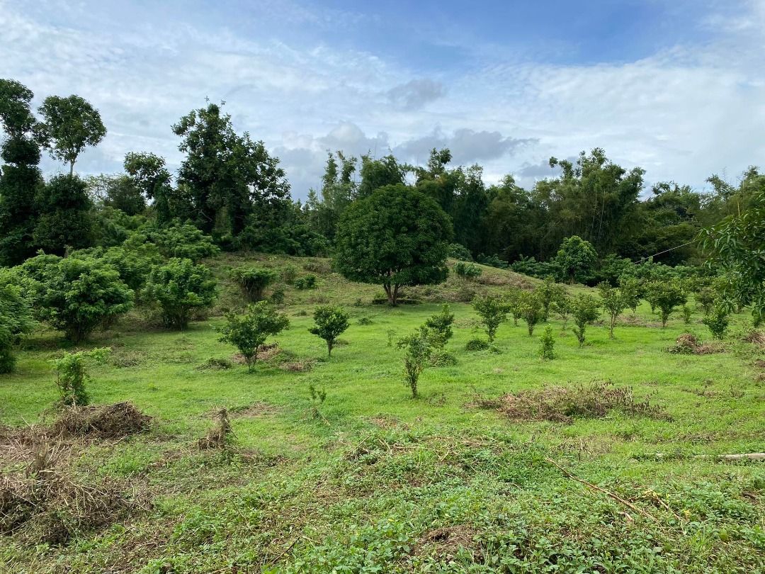 silang cavite lot for sale and installment, Property, For Sale, Lot on ...