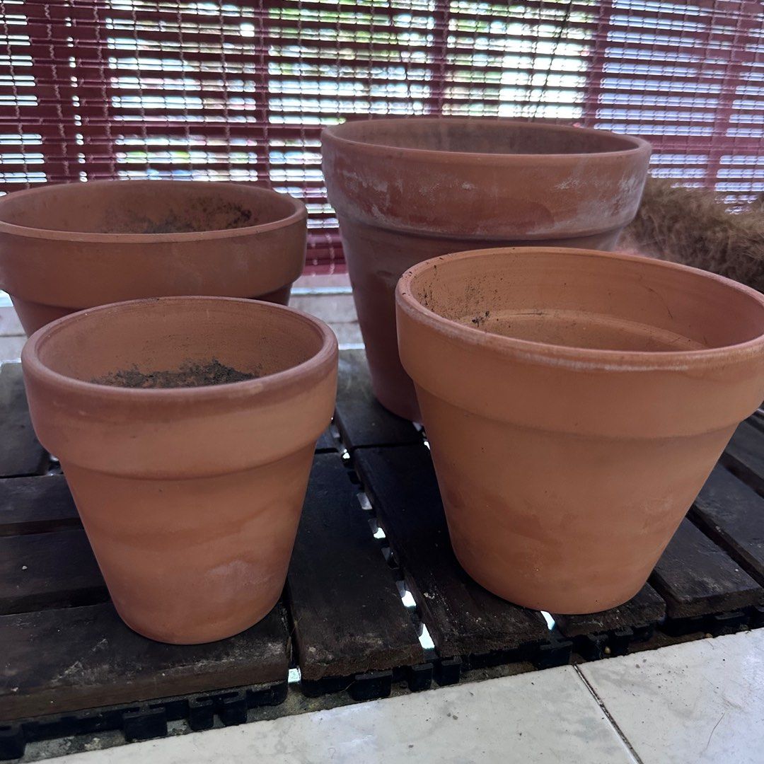 Terracotta pots, Furniture & Home Living, Gardening, Pots & Planters on ...