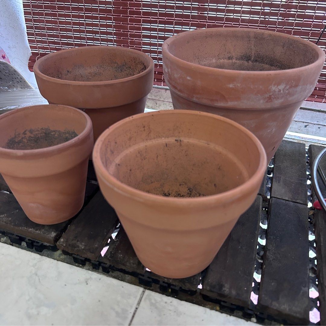 Terracotta pots, Furniture & Home Living, Gardening, Pots & Planters on ...