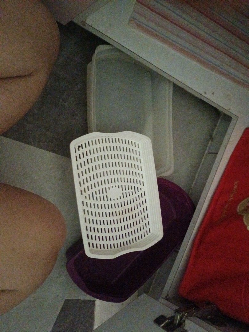 Tupperware defrost tray, Furniture & Home Living, Kitchenware ...