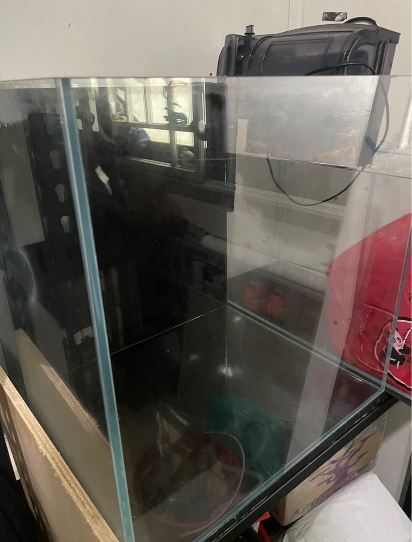 2ft cube crystal tank, Pet Supplies, Homes & Other Pet Accessories on ...