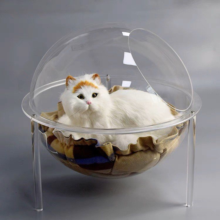 Acrylic Cat Capsule, Pet Supplies, Homes & Other Pet Accessories on ...