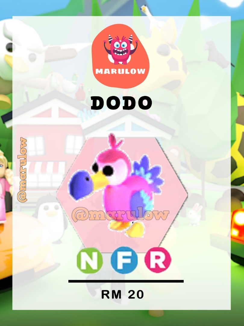Adopt Me -Dodo NFR ( Roblox ), Video Gaming, Gaming Accessories, In-Game Products on Carousell