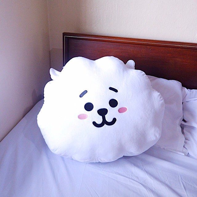 BT21 RJ Face Cushion (42cm) on Carousell