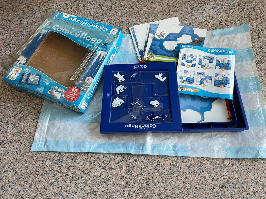 Camouflage North Pole Puzzle Brain Game on Carousell