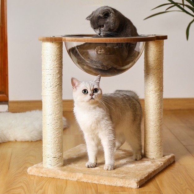 Cat Post Capsule Bed With Sisal Pole Cat Scratcher, Pet Supplies, Homes ...
