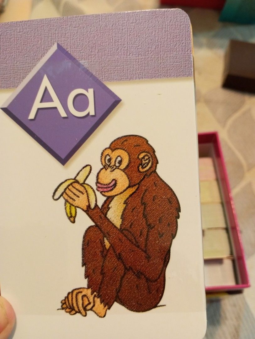 Bundle 1 box 324 Early learning flash cards and Spectrum Sight Words ...