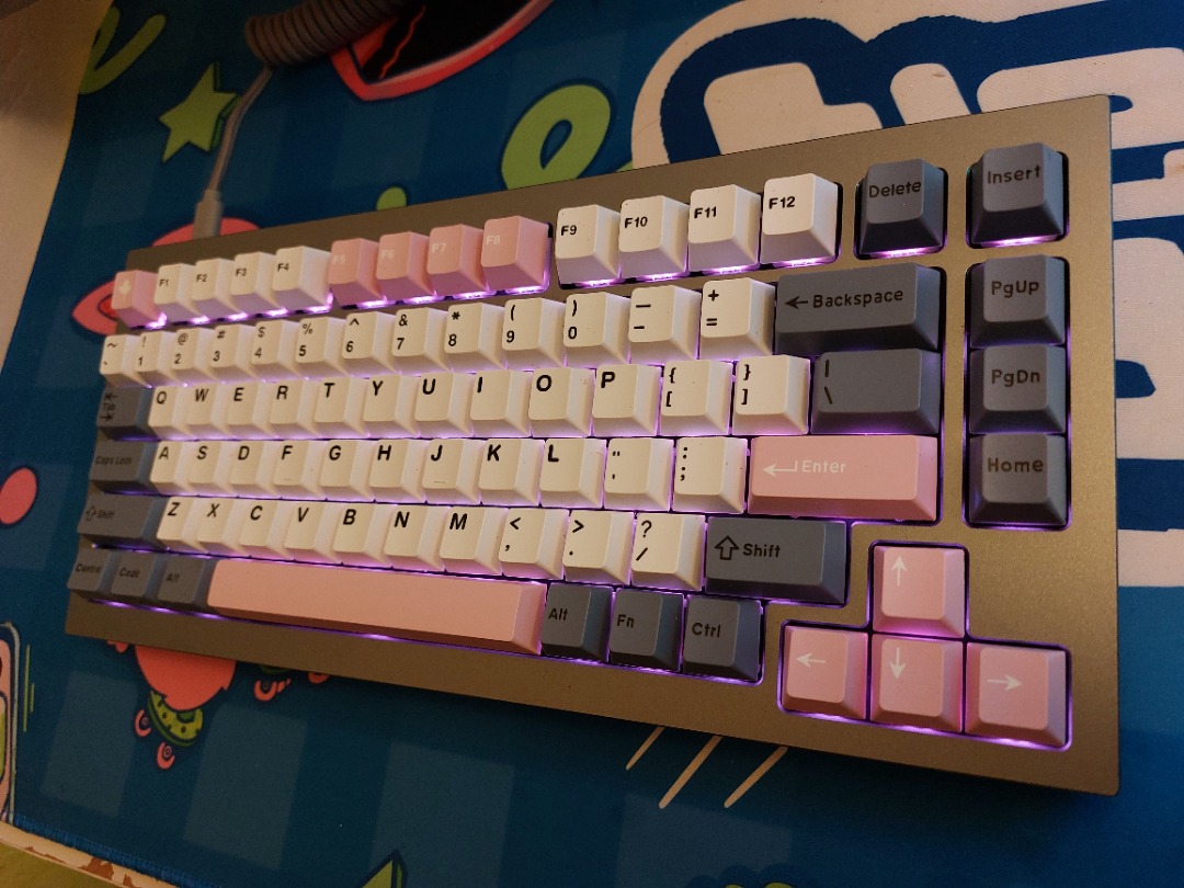 Keychron Q1 Keyboard with lubed Mengmoda Holy Panda Tactile + Fuji ABS ...