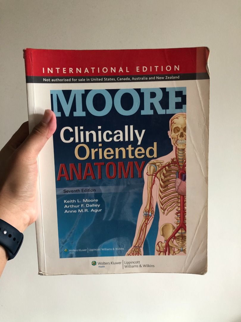 Moore: Clinically Oriented Anatomy 7th. Ed., Hobbies & Toys, Books ...