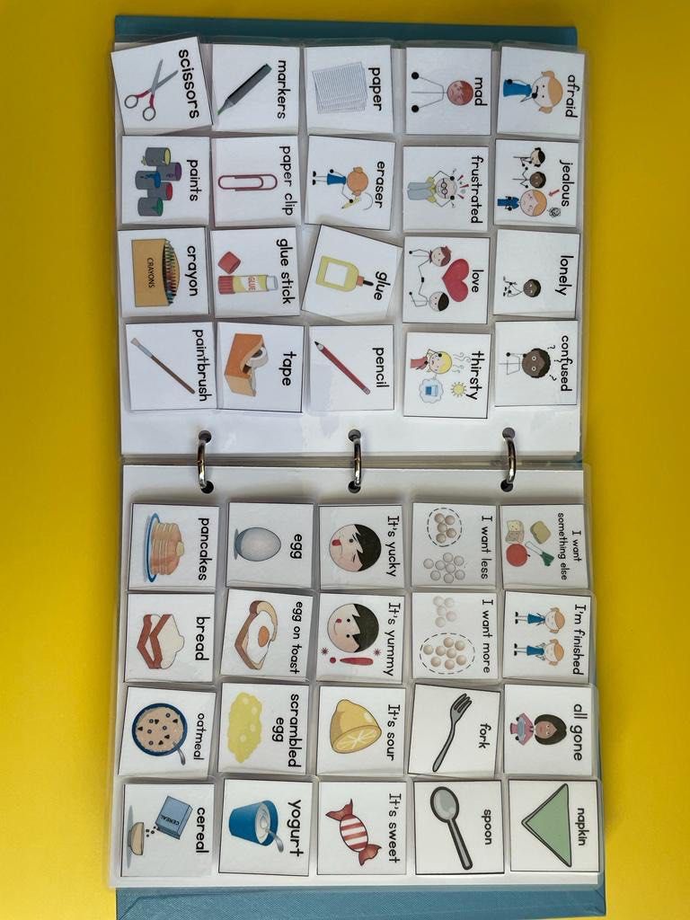 PECS Communication Book, Hobbies & Toys, Books & Magazines, Textbooks ...