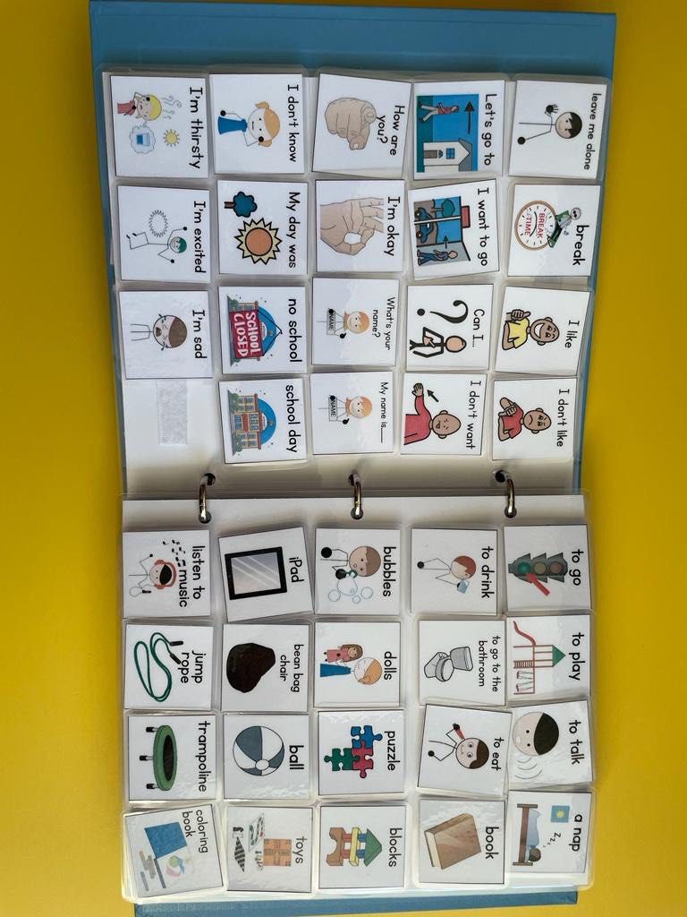 PECS Communication Book, Hobbies & Toys, Books & Magazines, Textbooks ...