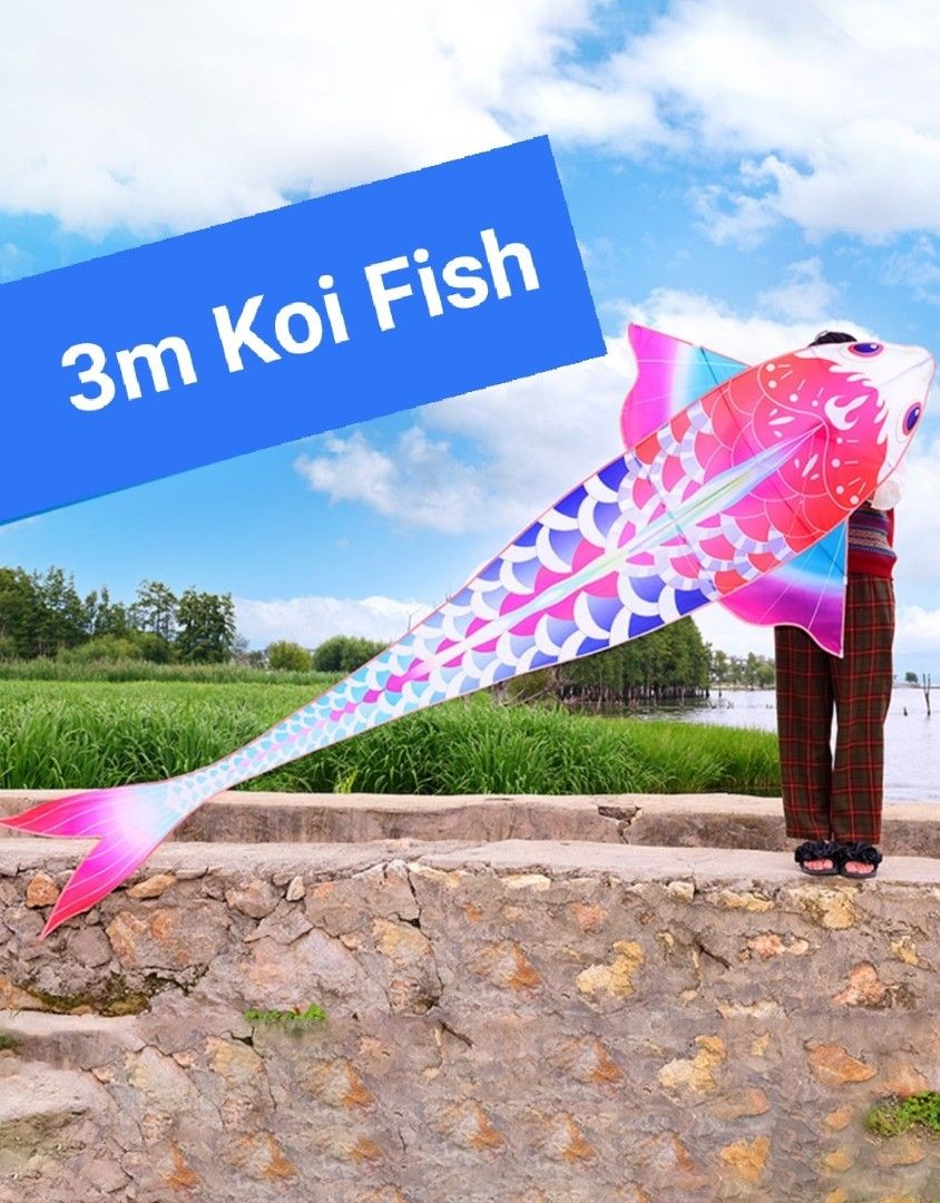3m height koi fish flying kite, Sports Equipment, Sports & Games, Kites ...