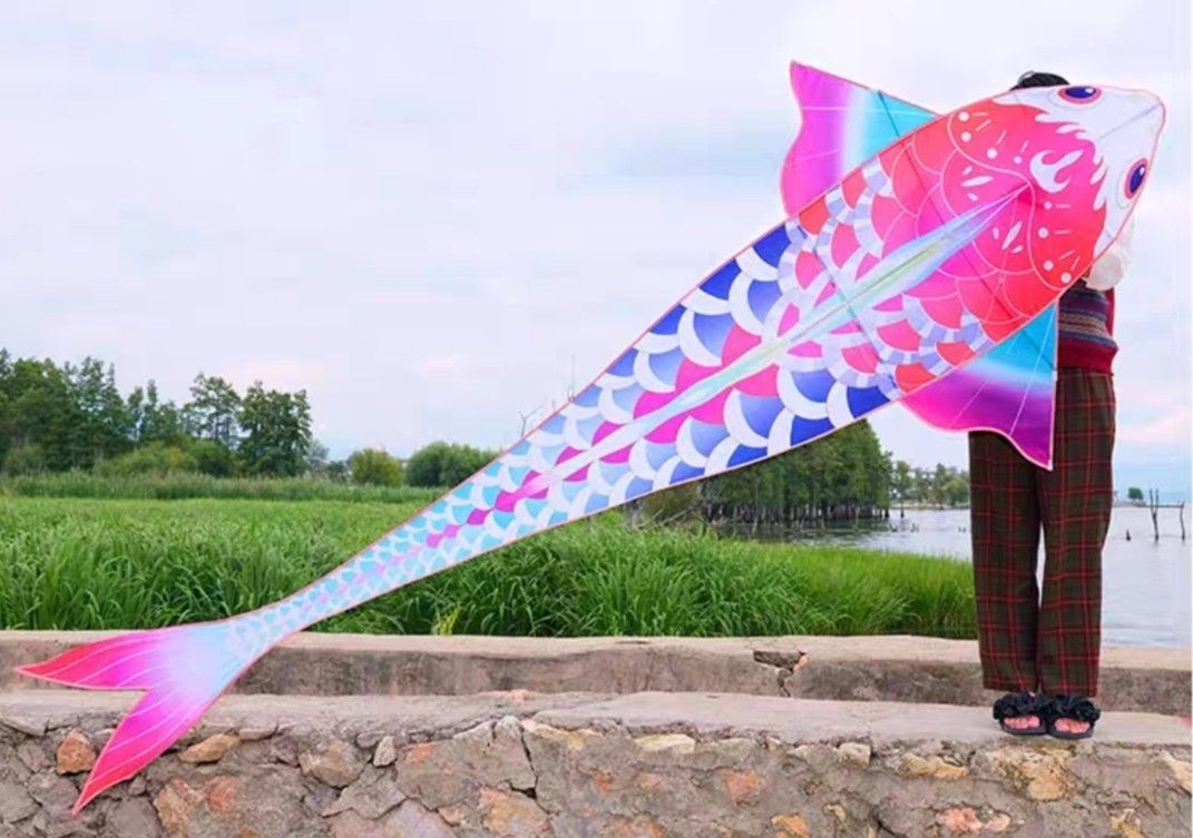3m height koi fish flying kite, Sports Equipment, Sports & Games, Kites ...