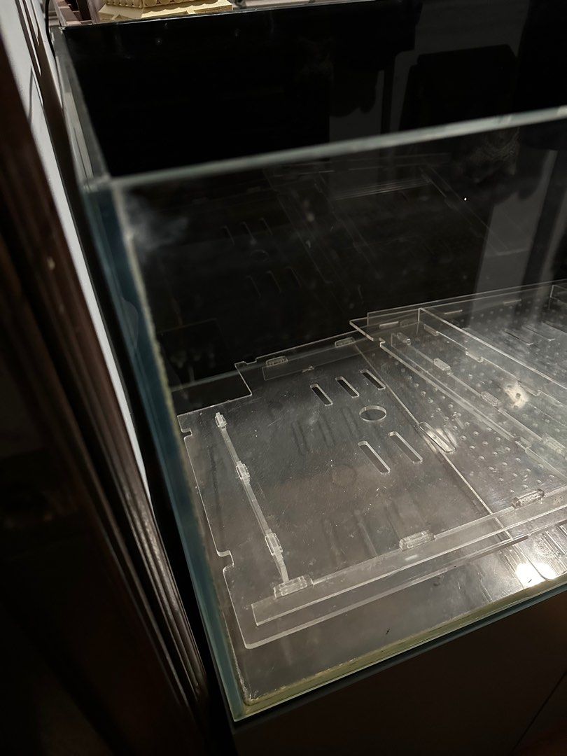 90cm/3ft glass fish tank, Pet Supplies, Homes & Other Pet Accessories ...