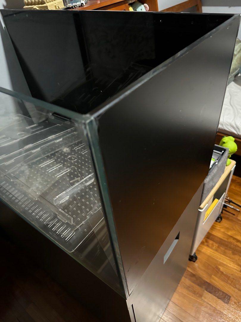 90cm/3ft glass fish tank, Pet Supplies, Homes & Other Pet Accessories ...