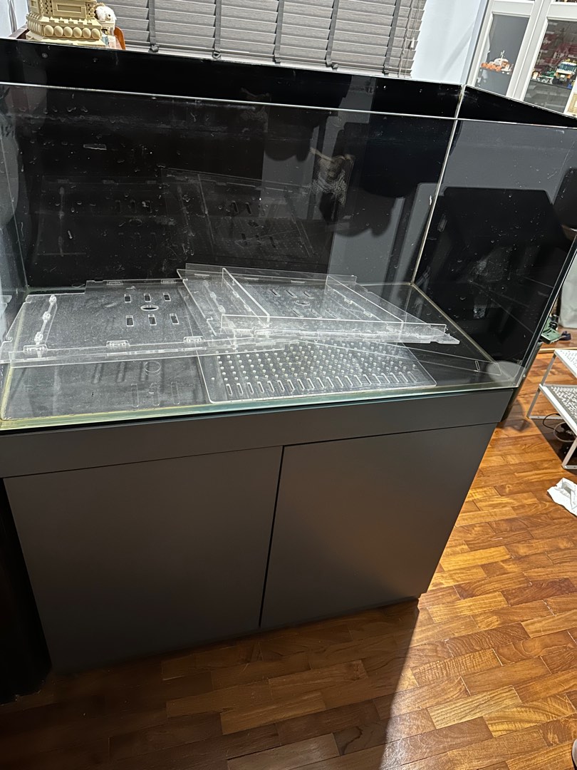 90cm/3ft glass fish tank, Pet Supplies, Homes & Other Pet Accessories ...