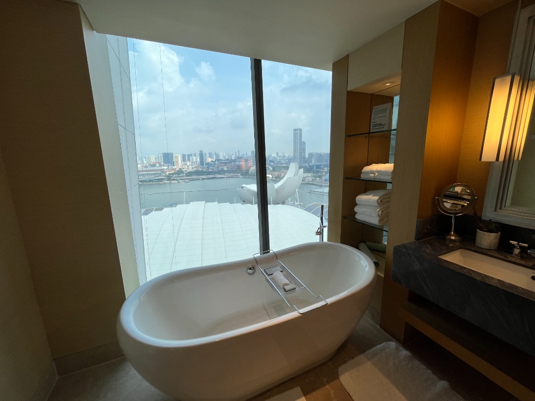 MBS Grand Club Room - Gardens with City Views (29 July NDP Preview 2 ...