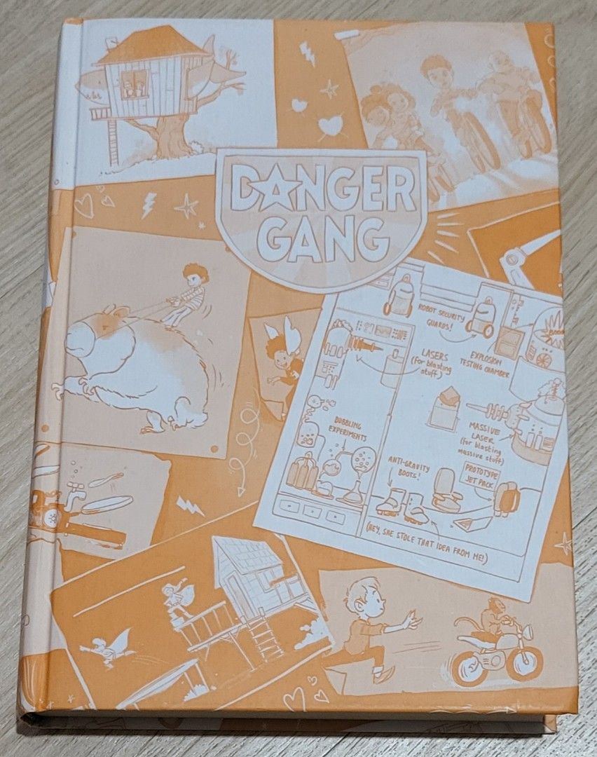 THE DANGER GANG, Hobbies & Toys, Books & Magazines, Children's Books on ...