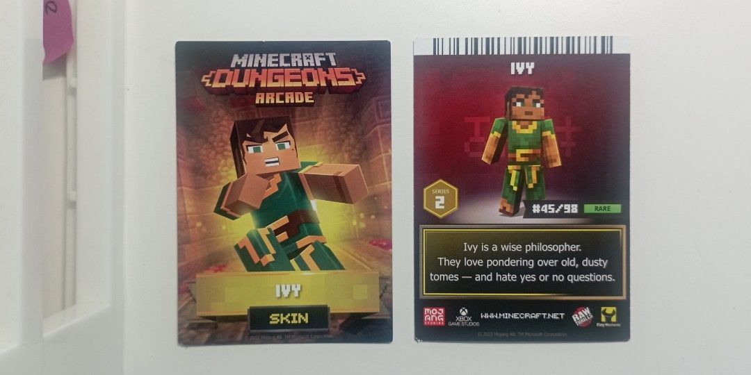 Arcade Minecraft Dungeon Card (Skin), Hobbies & Toys, Toys & Games on ...
