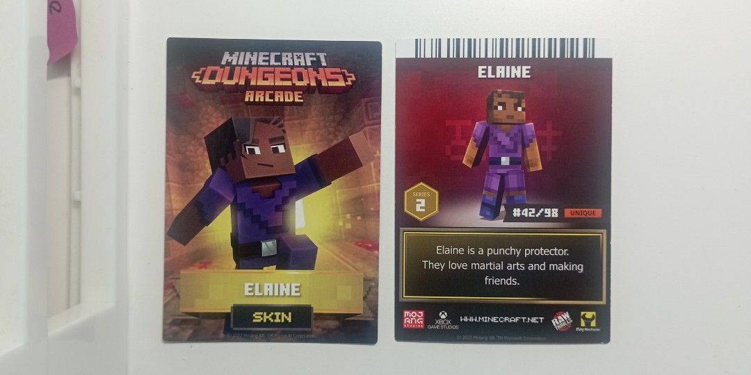 Arcade Minecraft Dungeon Card (Skin), Hobbies & Toys, Toys & Games on ...