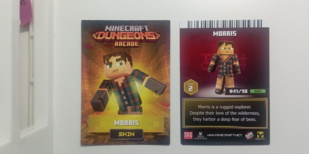 Arcade Minecraft Dungeon Card (Skin), Hobbies & Toys, Toys & Games on ...
