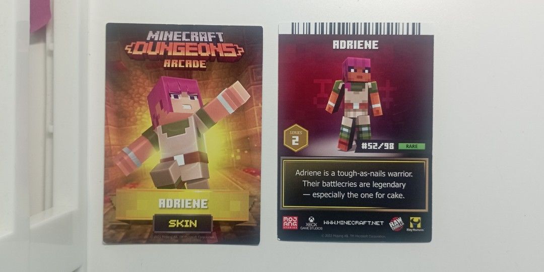 Arcade Minecraft Dungeon Card (Skin), Hobbies & Toys, Toys & Games on ...