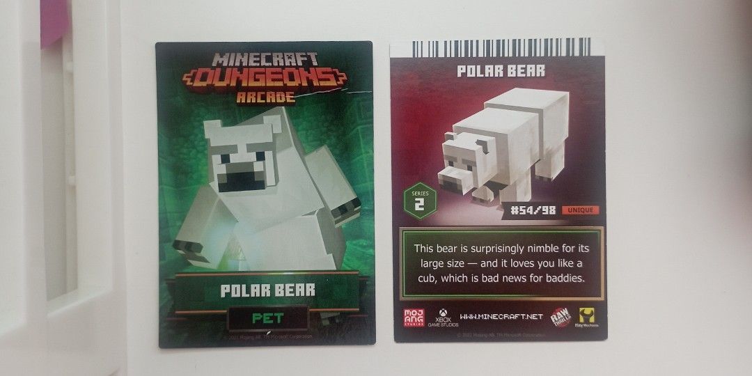 Arcade Minecraft Dungeon Card (Pet), Hobbies & Toys, Toys & Games on ...