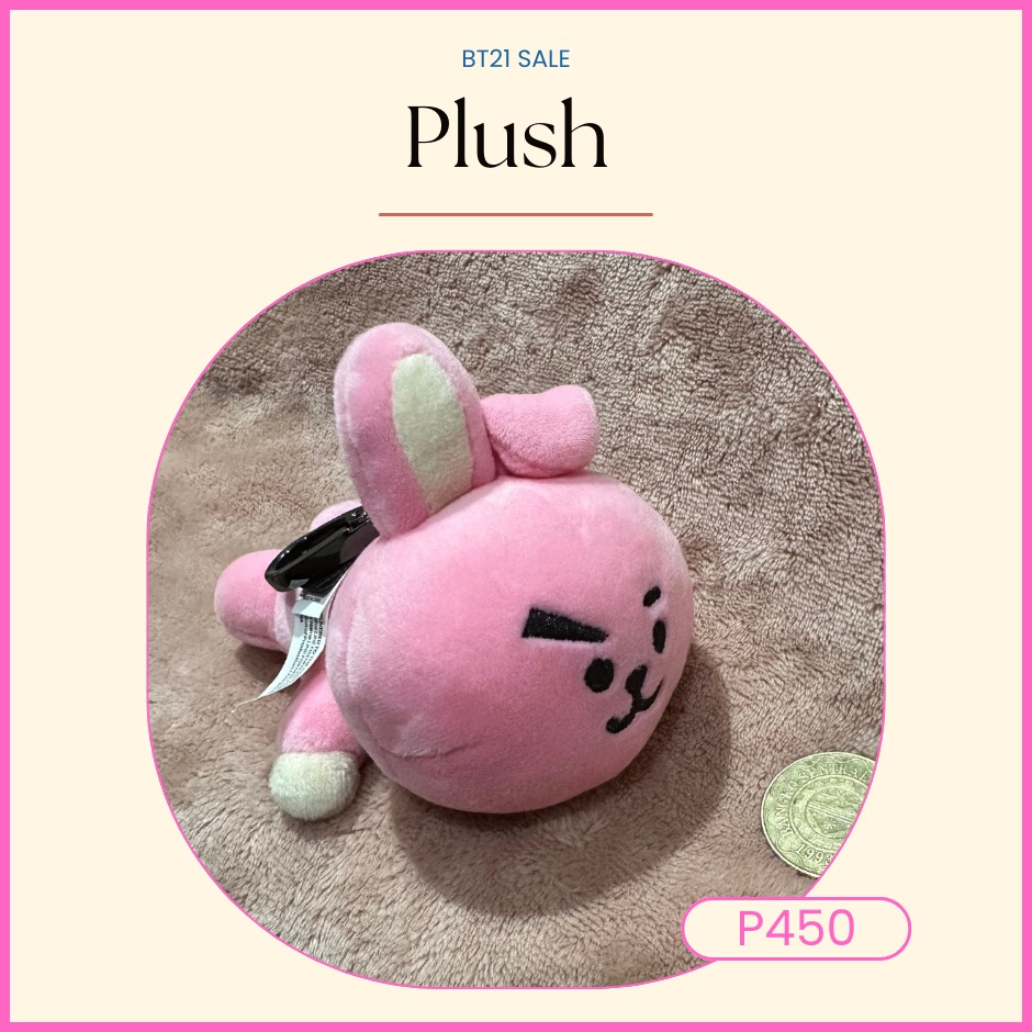 BT21 Cooky Plush Keychain, Hobbies & Toys, Memorabilia & Collectibles ...