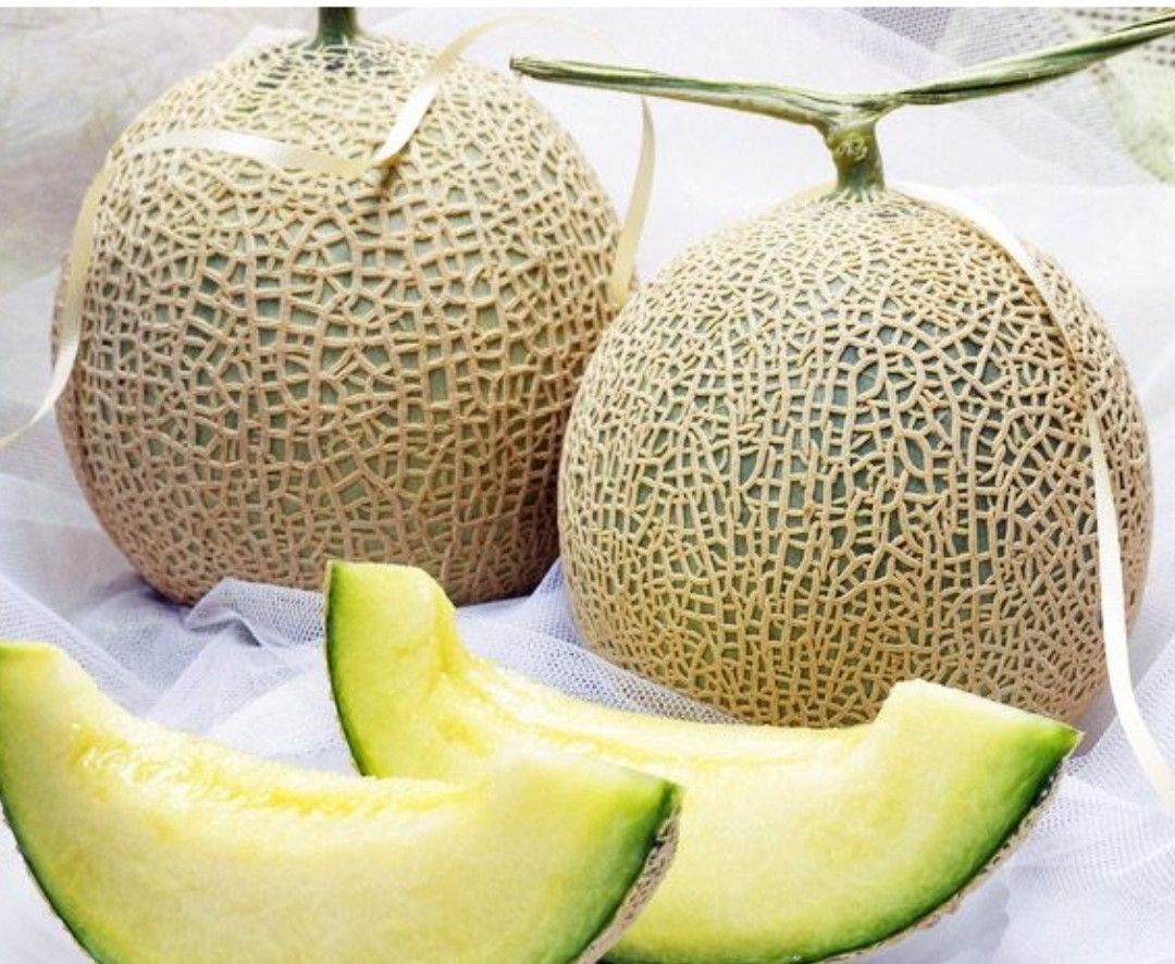 Green Sweet Muskmelon, Food & Drinks, Fresh Produce on Carousell