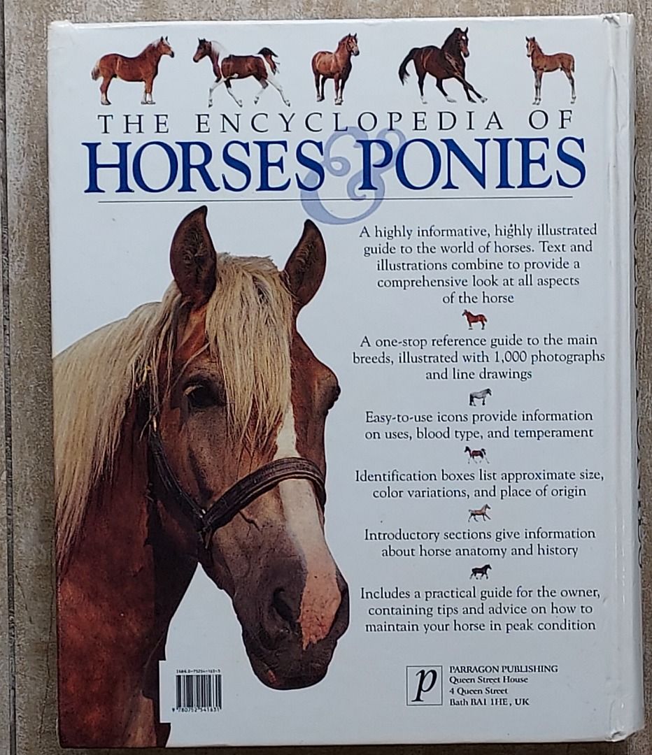 Horses Ponies Cowboys riding encyclopedia, Hobbies & Toys, Books ...