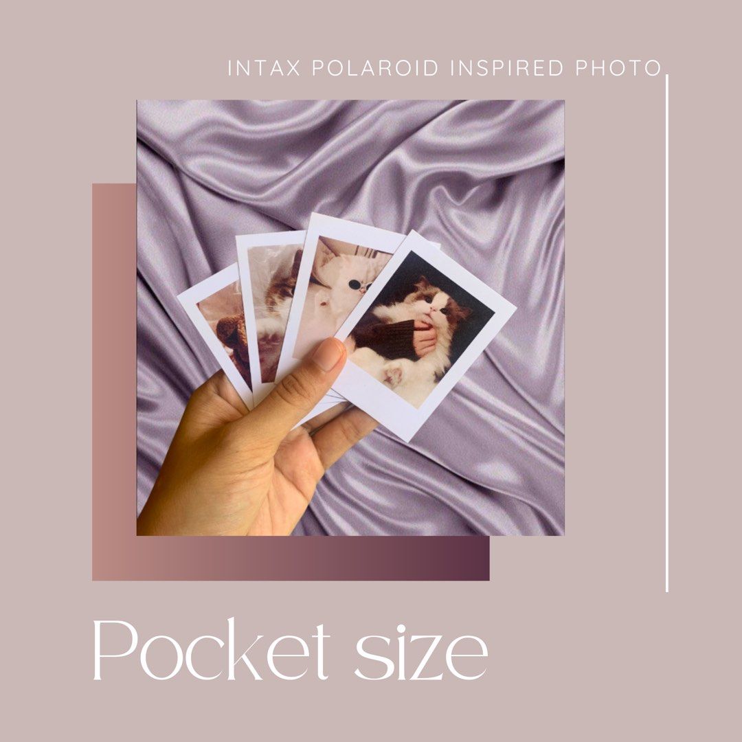 Intax Polaroid inspired photo, Hobbies & Toys, Memorabilia ...