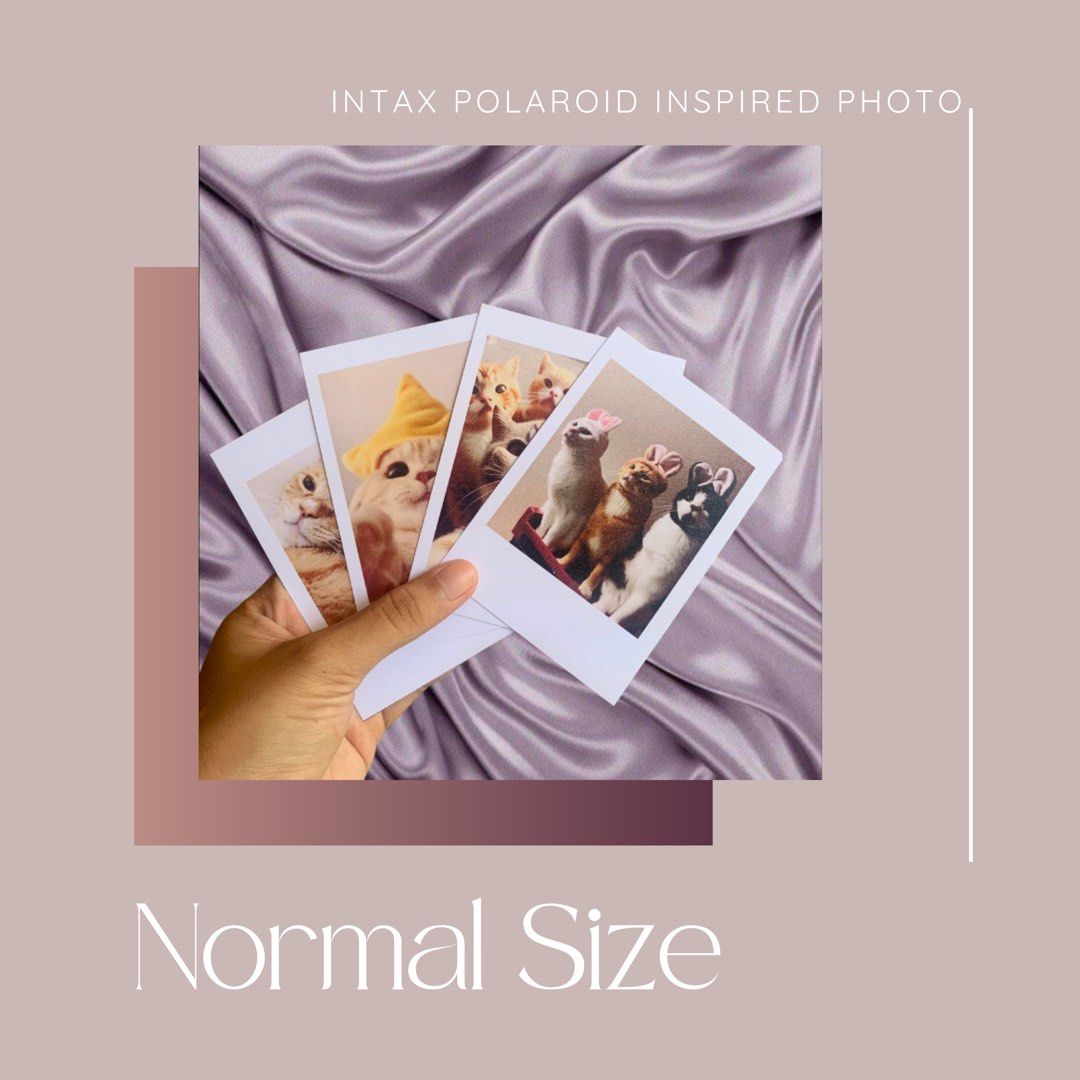 Intax Polaroid inspired photo, Hobbies & Toys, Memorabilia ...