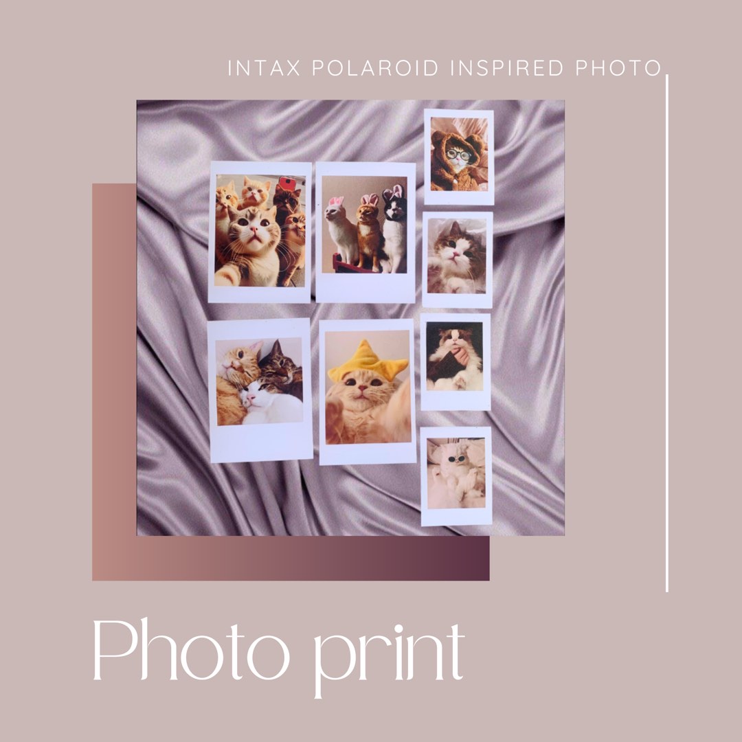 Intax Polaroid inspired photo, Hobbies & Toys, Memorabilia ...