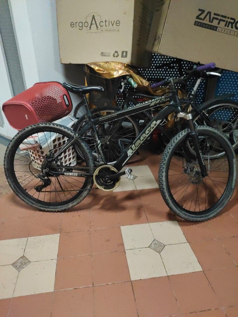 Mountain Bike, Sports Equipment, Bicycles & Parts, Bicycles on Carousell