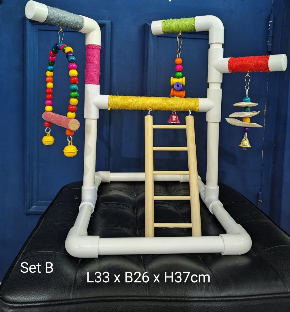 Parrot playground Set B, Pet Supplies, Homes & Other Pet Accessories on ...