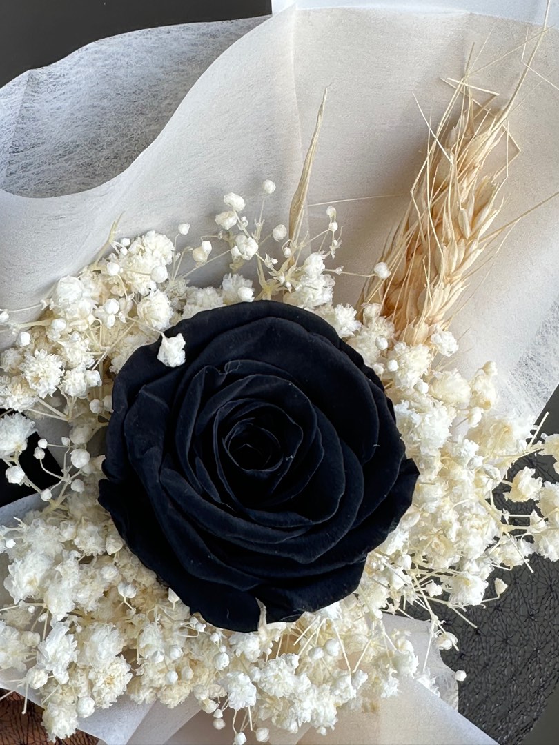 Preserved Black Rose Bouquet, Hobbies & Toys, Stationery & Craft ...