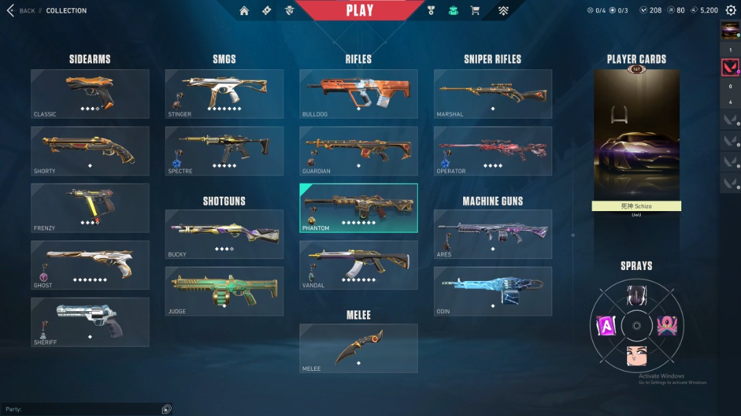 Ruin dagger 13 premium skin valorant account, Video Gaming, Gaming ...