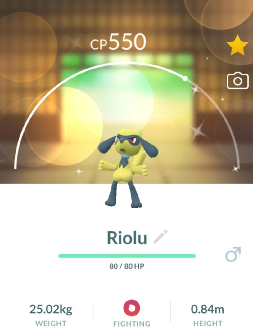 Shiny Riolu Pokemon Go, Video Gaming, Gaming Accessories, In-Game ...