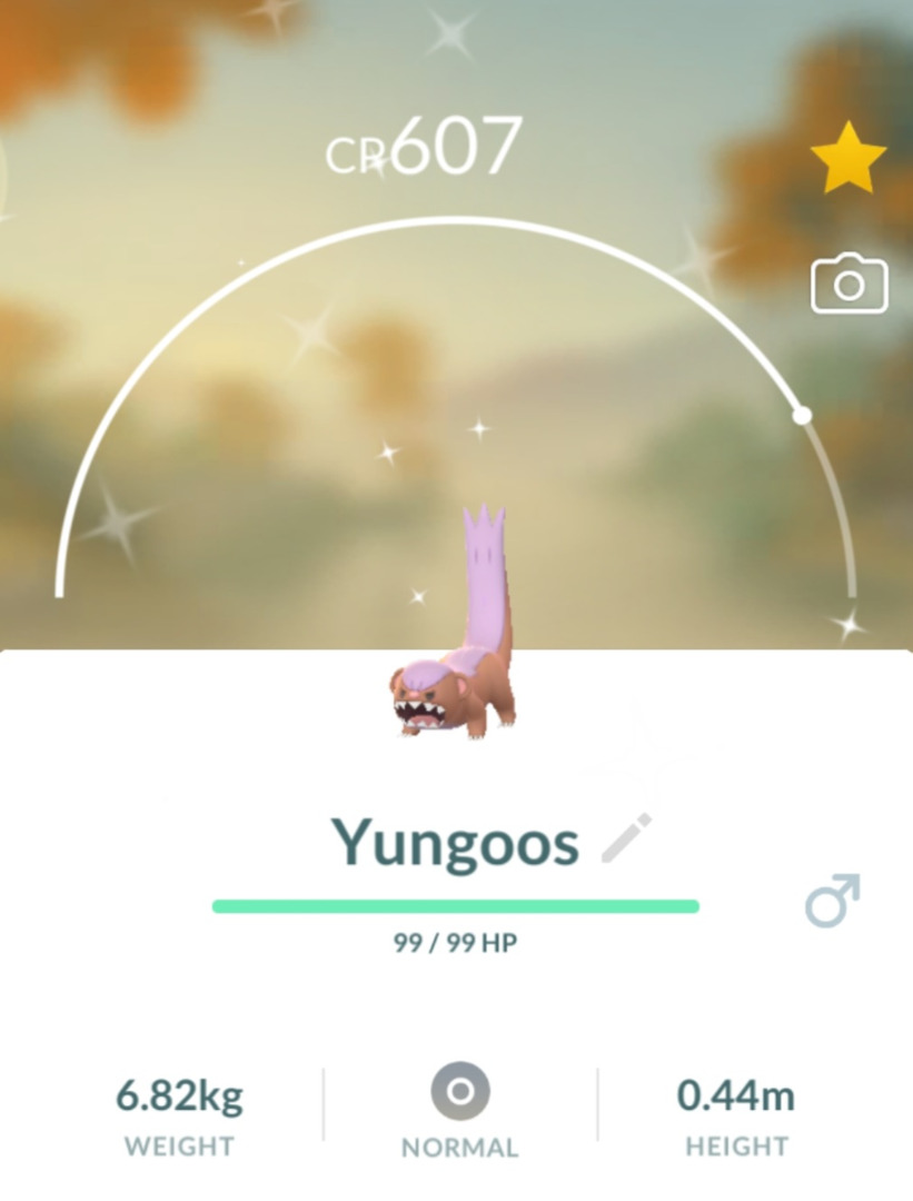 Shiny Yungoos Pokemon Go, Video Gaming, Gaming Accessories, In-Game ...