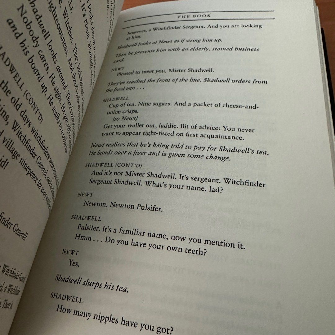 wts the illustrated good omens book terry pratchett and Neil Gaiman the ...