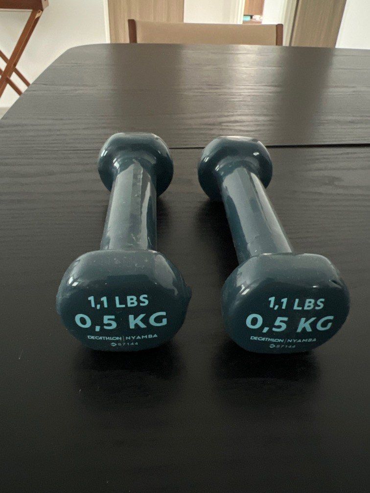 0.5kg Dumbbells, Sports Equipment, Exercise & Fitness, Weights ...