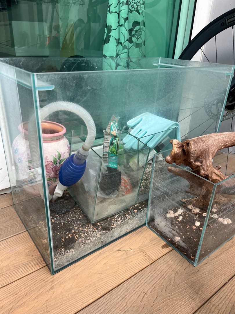2ft fish tank, Pet Supplies, Homes & Other Pet Accessories on Carousell