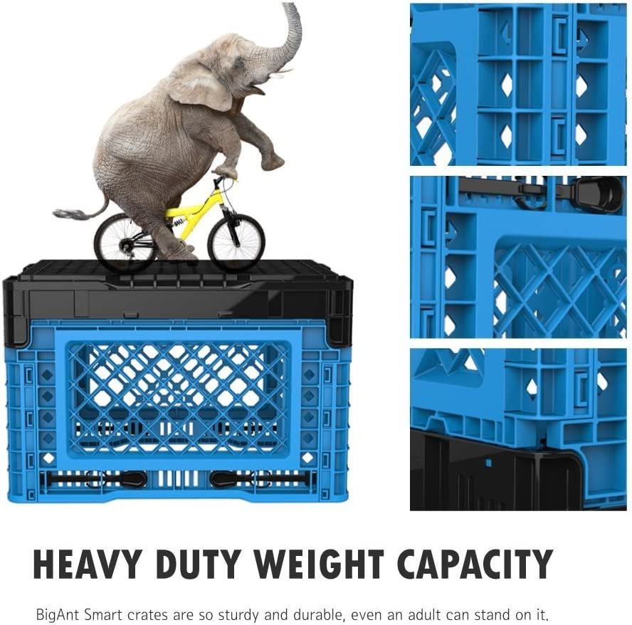 BIGANT Heavy Duty Collapsible & Stackable Plastic Milk Crate - IP403026 ...